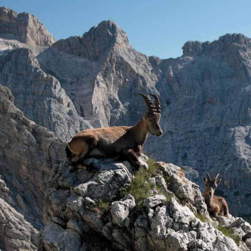 Claut - Scopri il Borgo | Claut - Dolomiti Friulane
