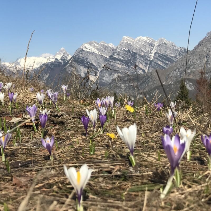 Claut - Scopri il Borgo | Claut - Dolomiti Friulane